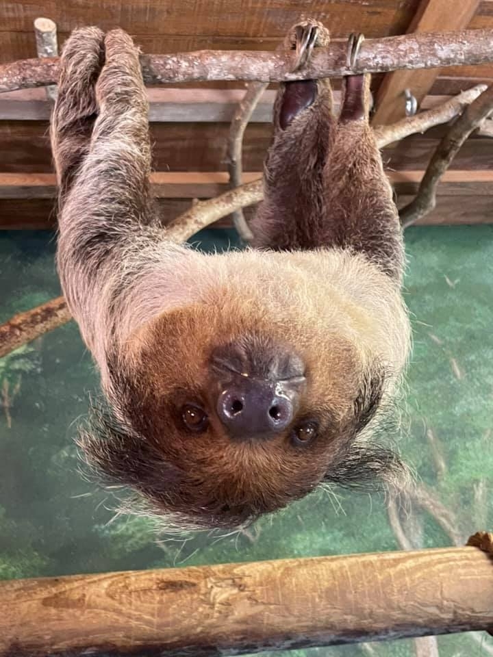 Louisiana Purchase Gardens and Zoo